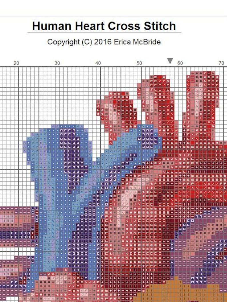Human Heart X-stitch Anatomical Detailed Realistic Cross Stitch PDF ...