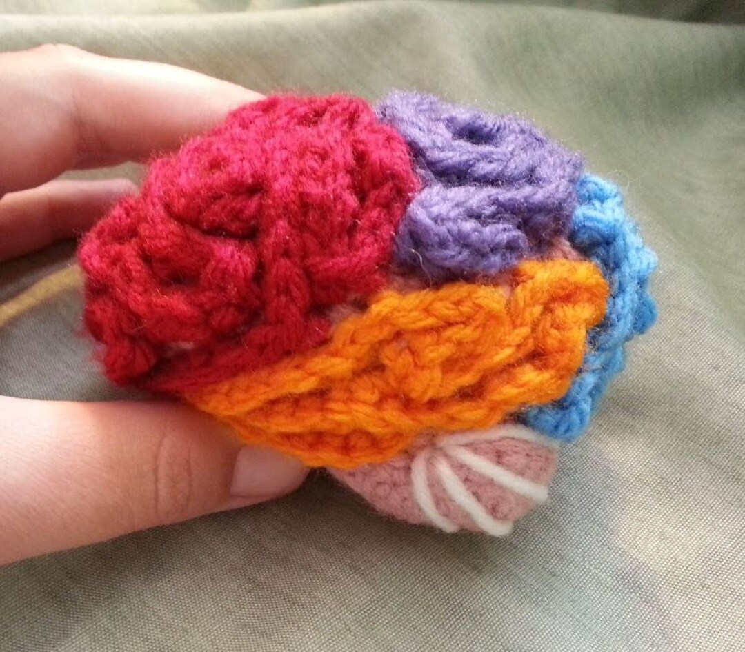 Human Brain Realistic Crochet Pattern 100% Scientifically - Etsy Canada