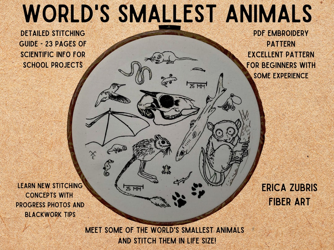World's Smallest Animals Tarsier Shark Frog Salamander Science Project ...