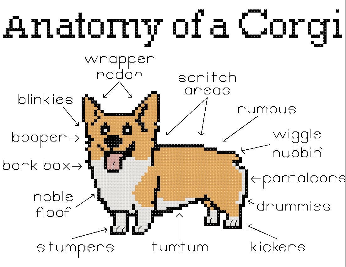 Welsh Corgi Anatomy of a Corgi Super Easy Small Cross Stitch - Etsy ...