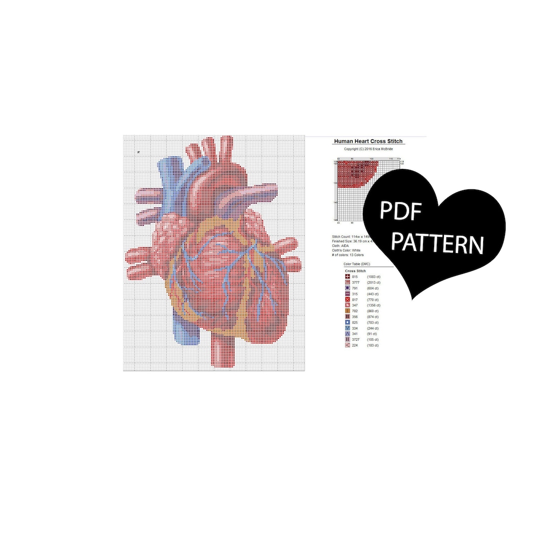 Human Heart X-stitch Anatomical Detailed Realistic Cross Stitch PDF ...