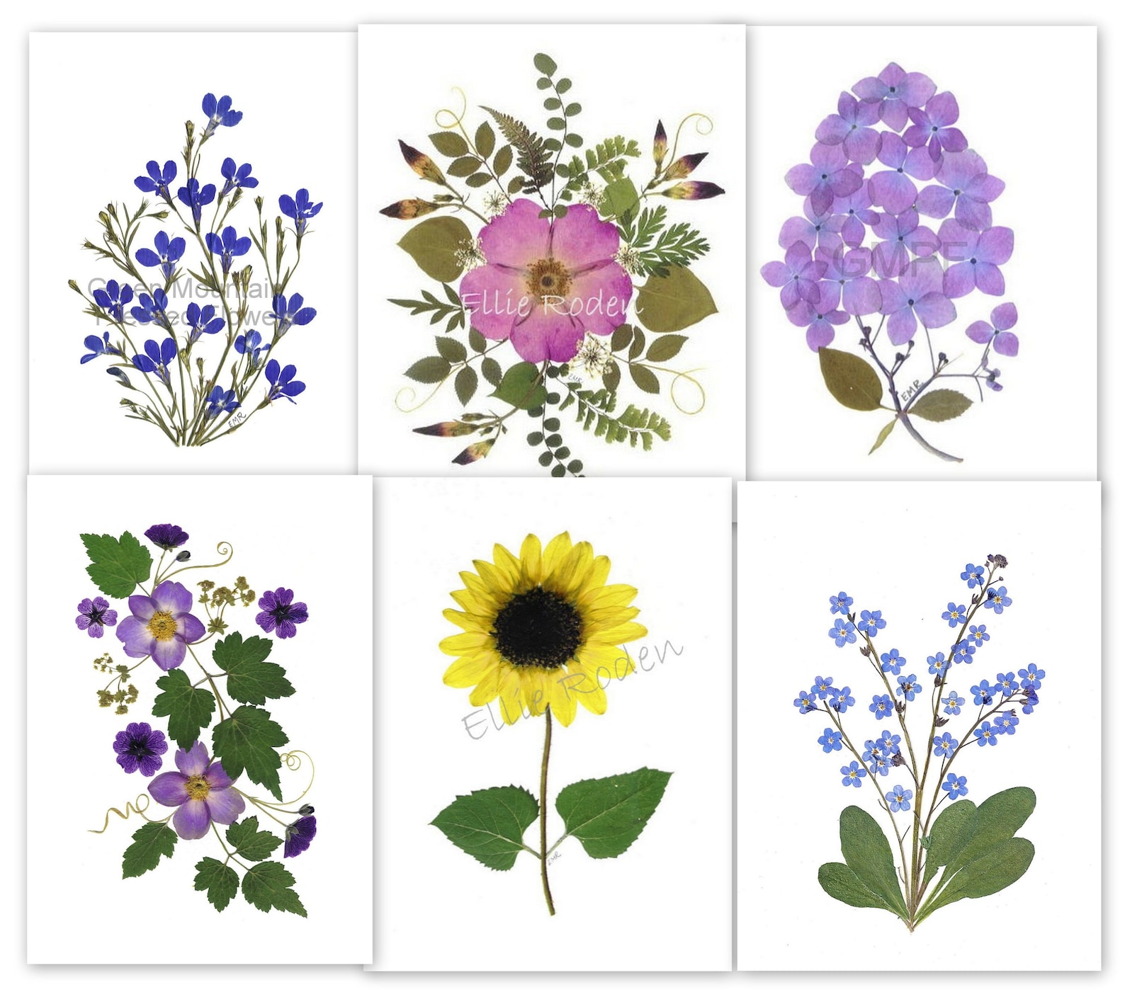 6 Pressed Flower Cards Assorted Notecards Printed Cards | Etsy