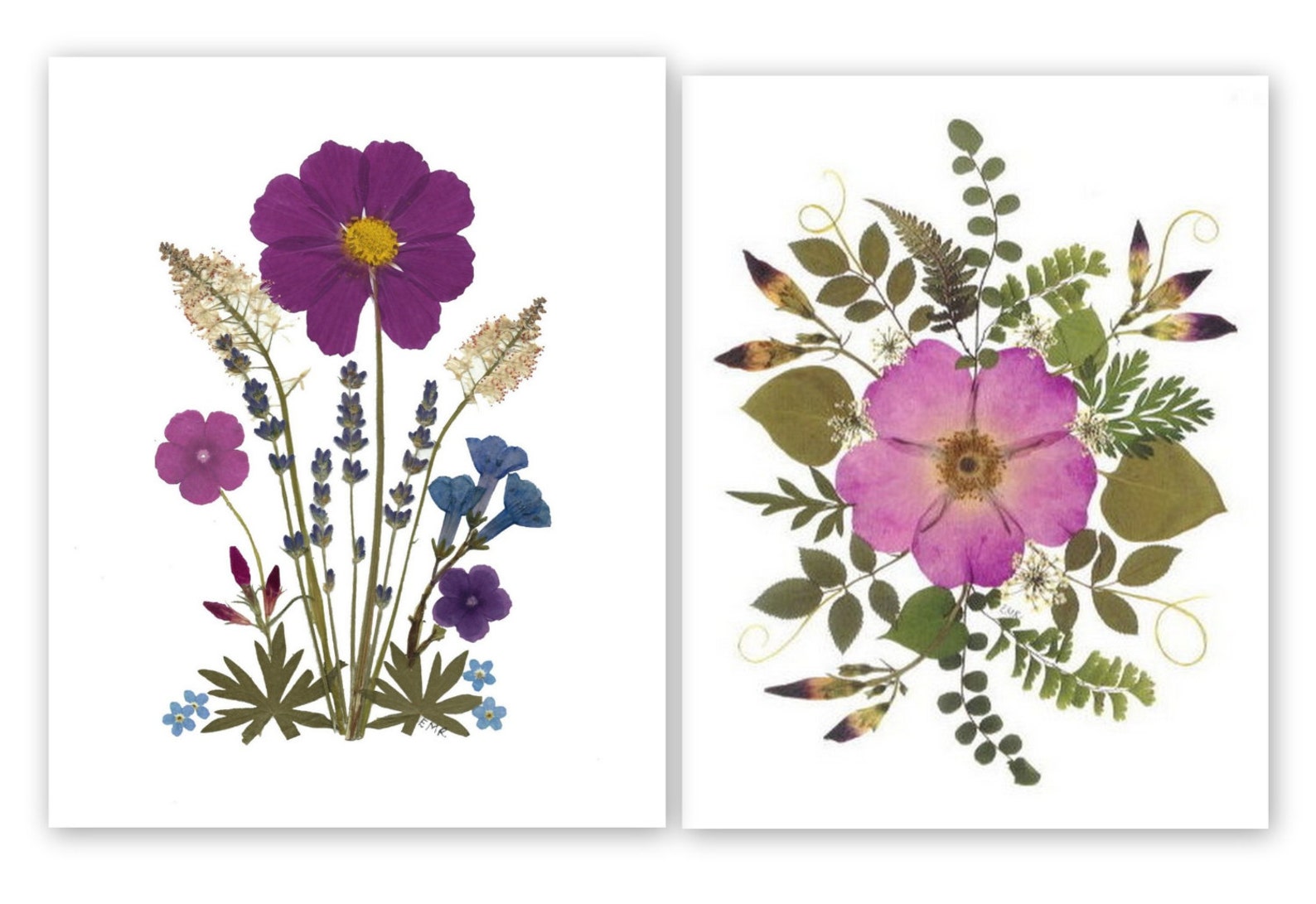 Pressed Flower Cards Assortment of 6 Printed Notecards | Etsy