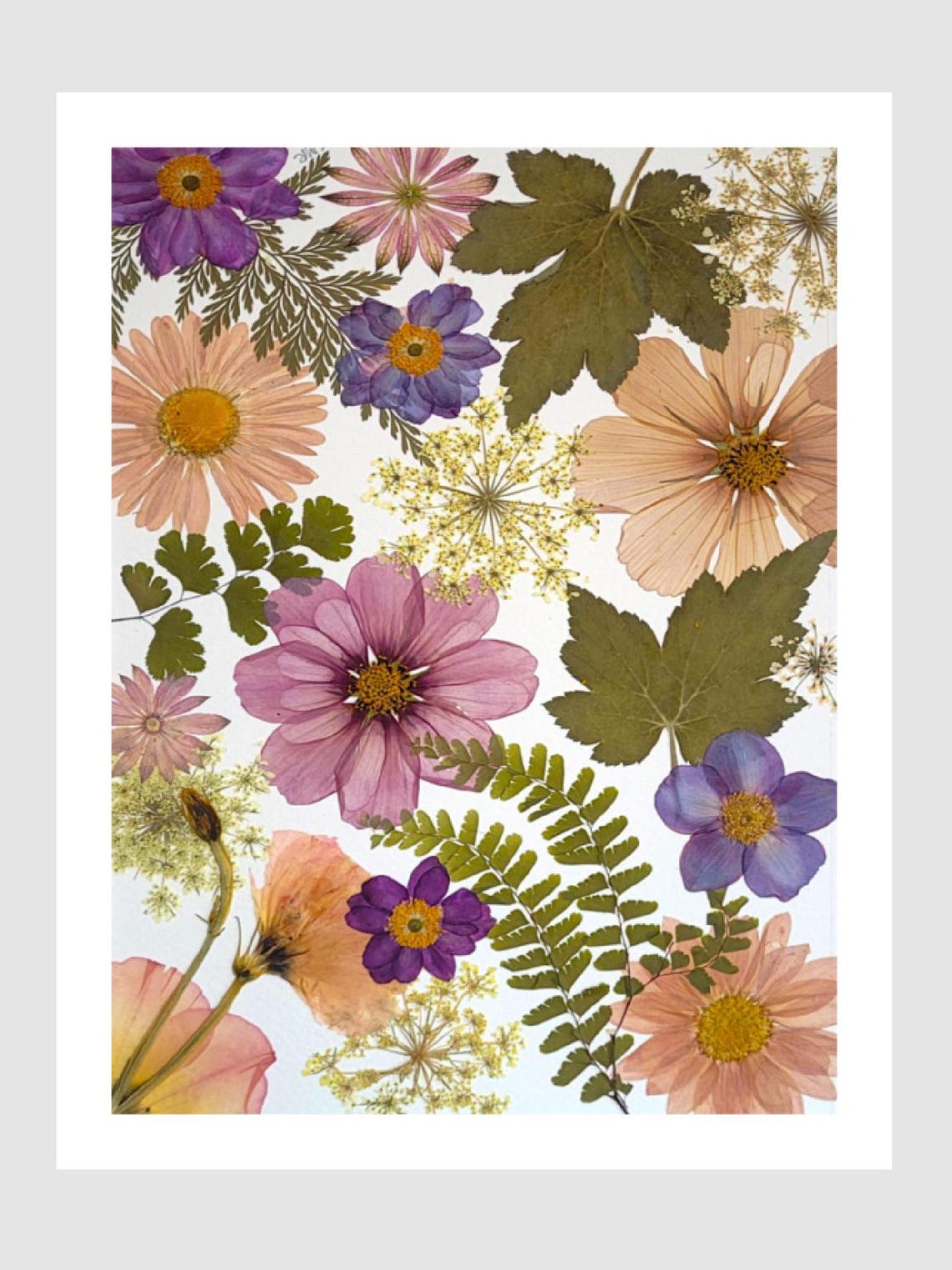 6 Printed Pressed Flower Cards Pressed Flower Collage Perfect Small ...