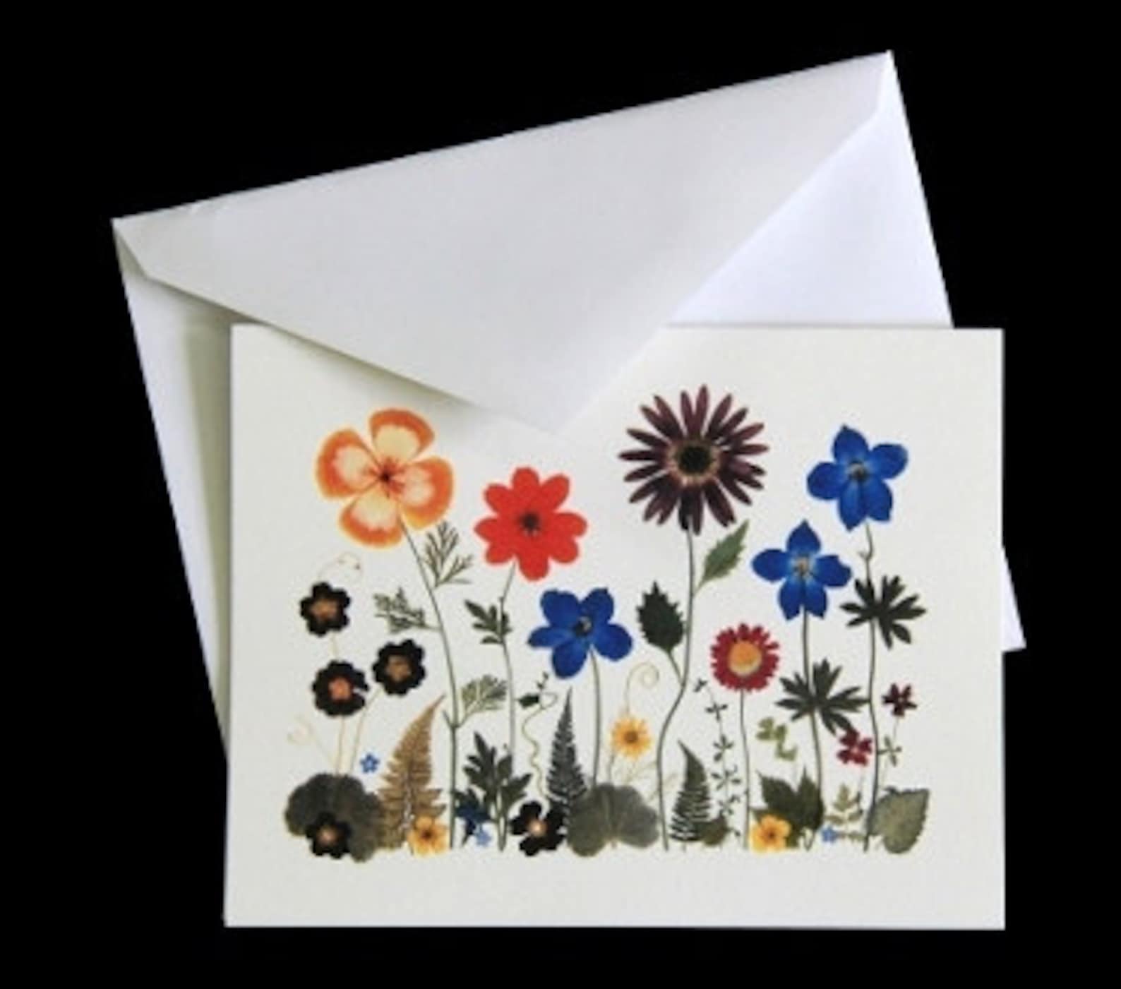 Pressed Flower Cards Set of 6 Printed Notecards Pressed - Etsy