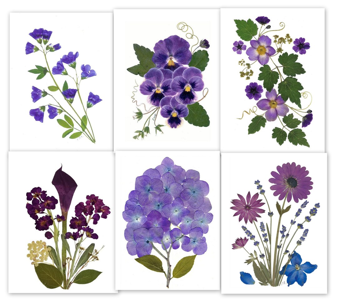 Set of 6 Printed Pressed Flower Cards - 6 Assorted Folded Notecards ...