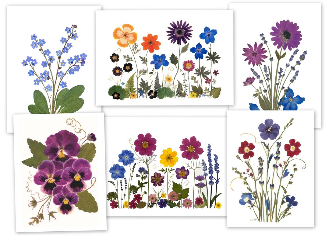 Pressed Flower Cards, 6 Assorted Cards, Printed Notecards, #133 - Etsy