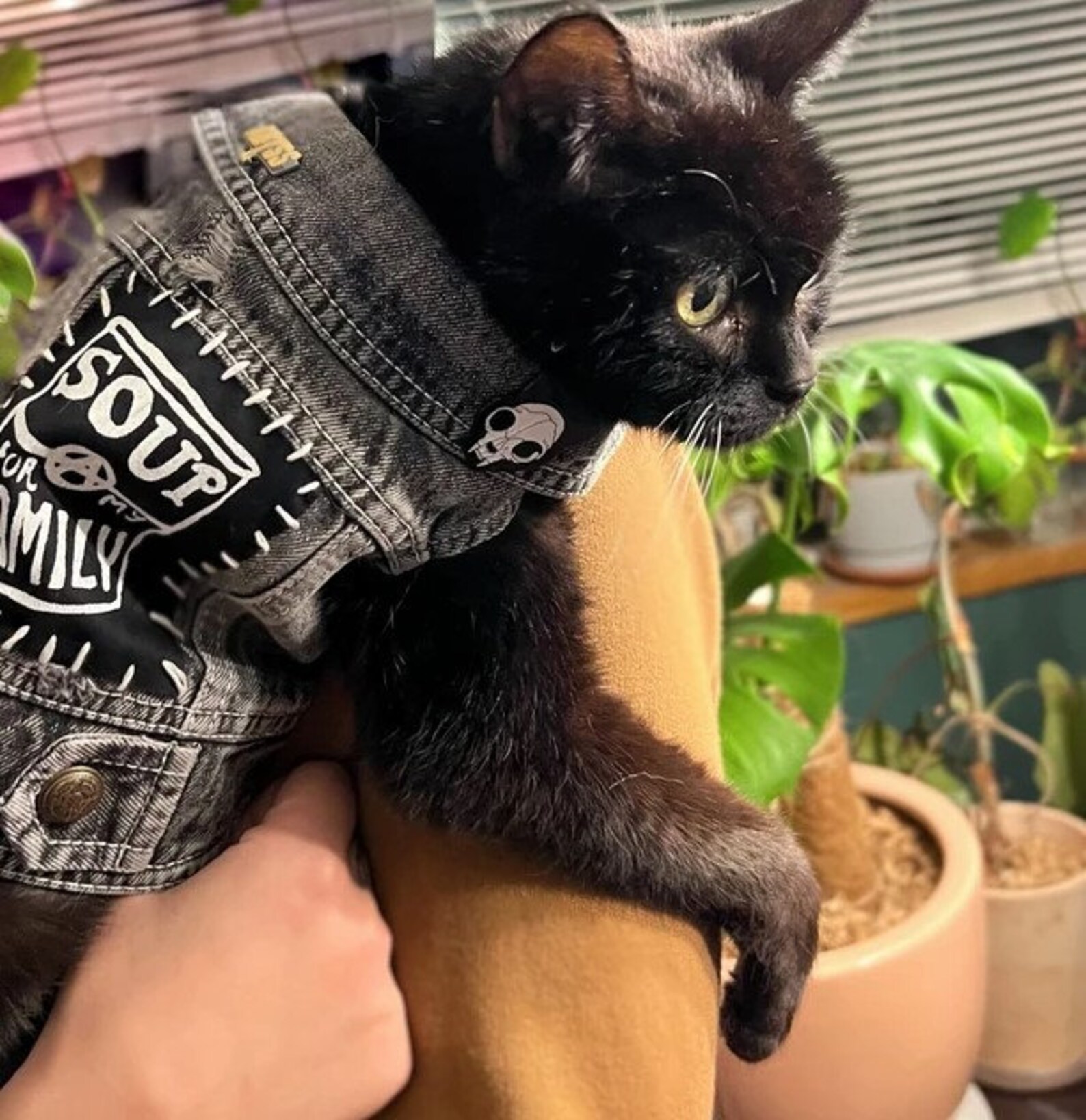 Soup for My Family Patch - Etsy