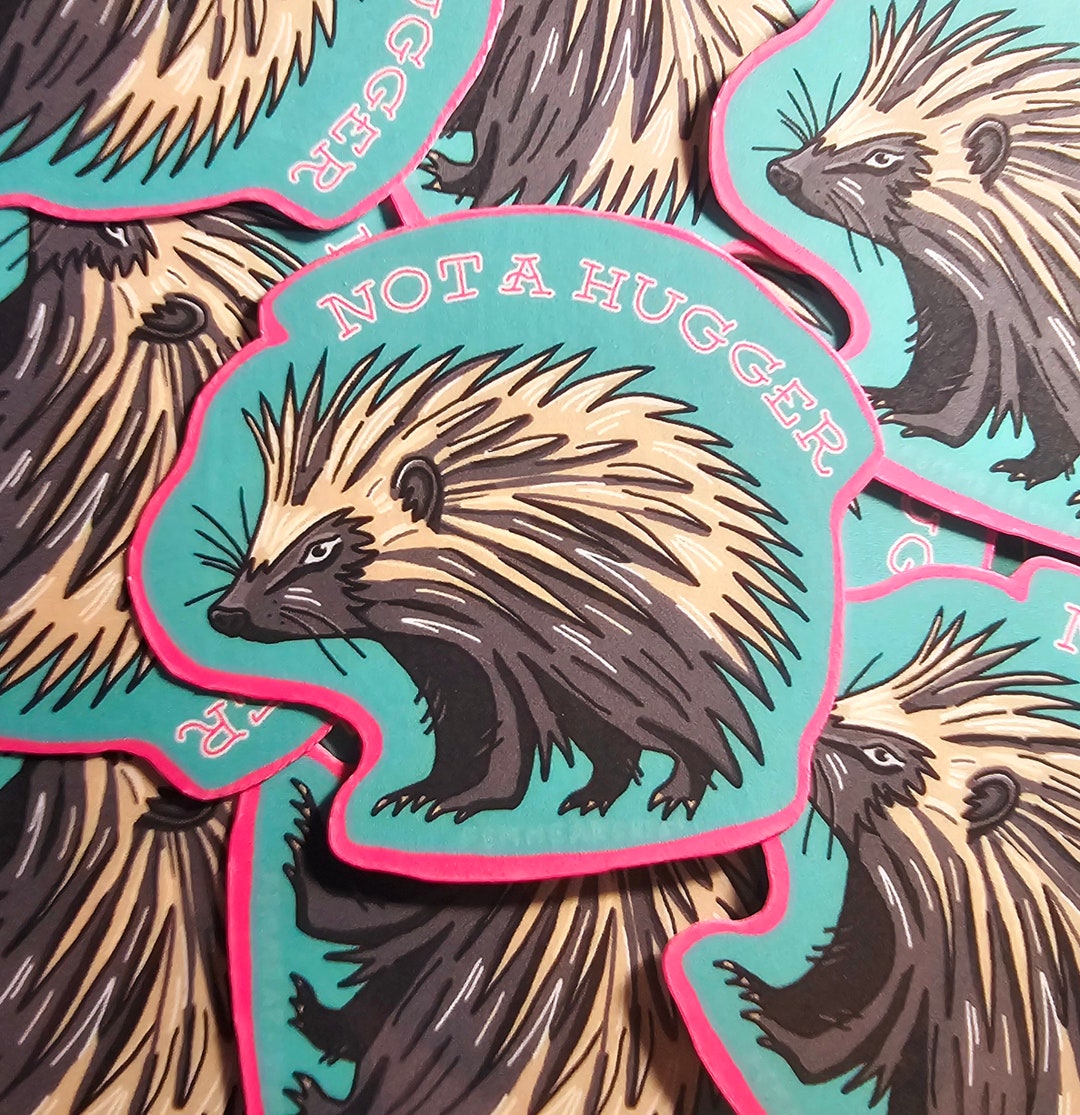 Not A Hugger Porcupine Sticker - Etsy