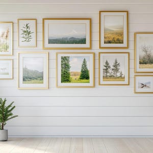 Blurred Video Call Plant Background Home Office Neutral White ...