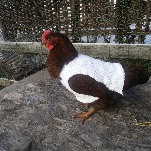 Chicken Sweaters - Etsy