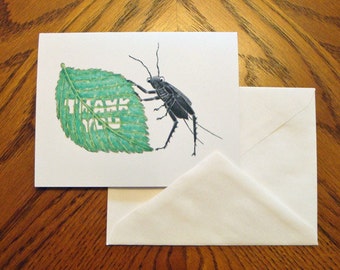 Bug Thank You Cards - Etsy