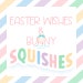 Printable Tag - Easter Wishes and Bunny Squishes - 2" Square - Etsy