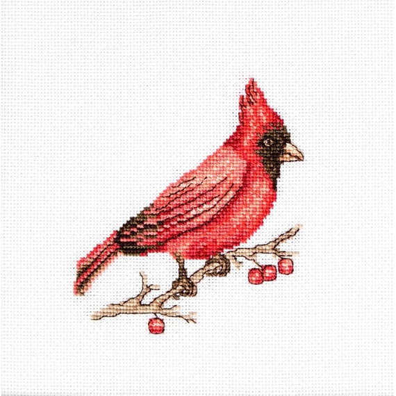 Cardinal Counted Cross Stitch Kit With Belana 20ct Fabric | Etsy