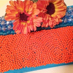 Orange Birth Control Case Blue Birth Control Case Orange Pill Case ...