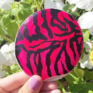 Zebra Birth Control Case Neon Birth Control Case Zebra Pill Case Zebra ...