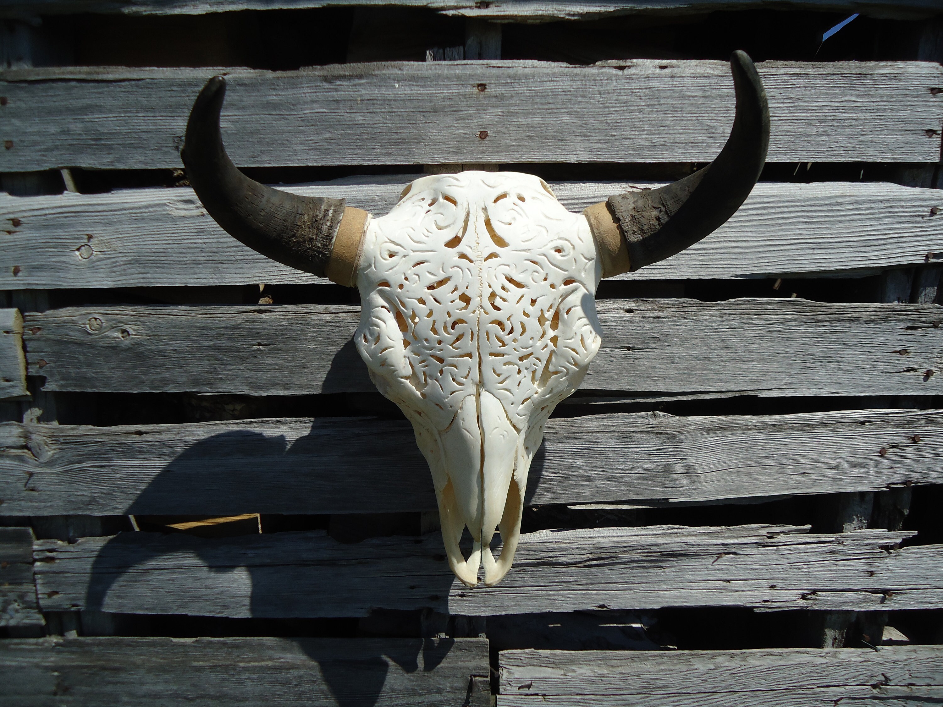 Buffalo skull art Indian decor Buffalo wall hanging Bison | Etsy