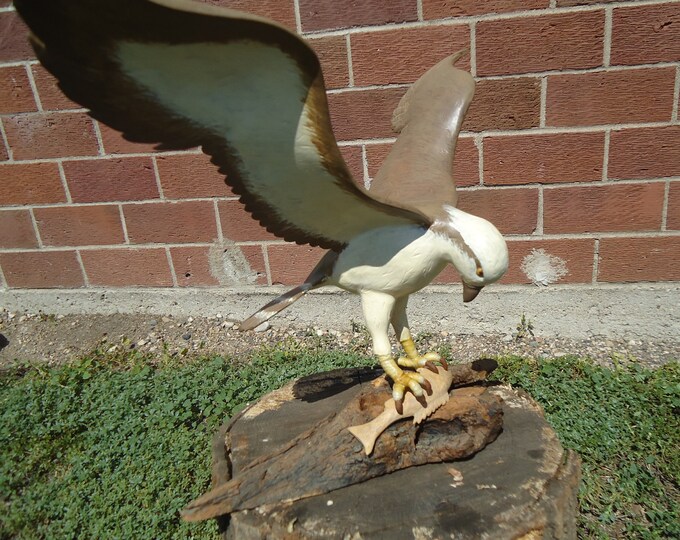 Beautiful Wooden Osprey, All Hand Carved Out of Wood, Perched One a ...