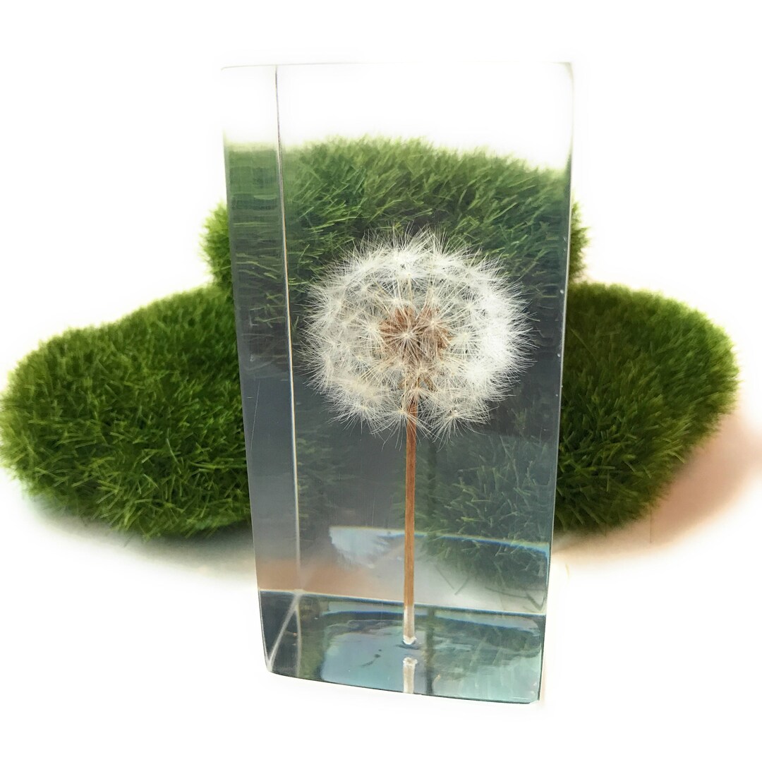 Dandelion Art Sculpture (dandelion Paperweight) - Made From a Real ...