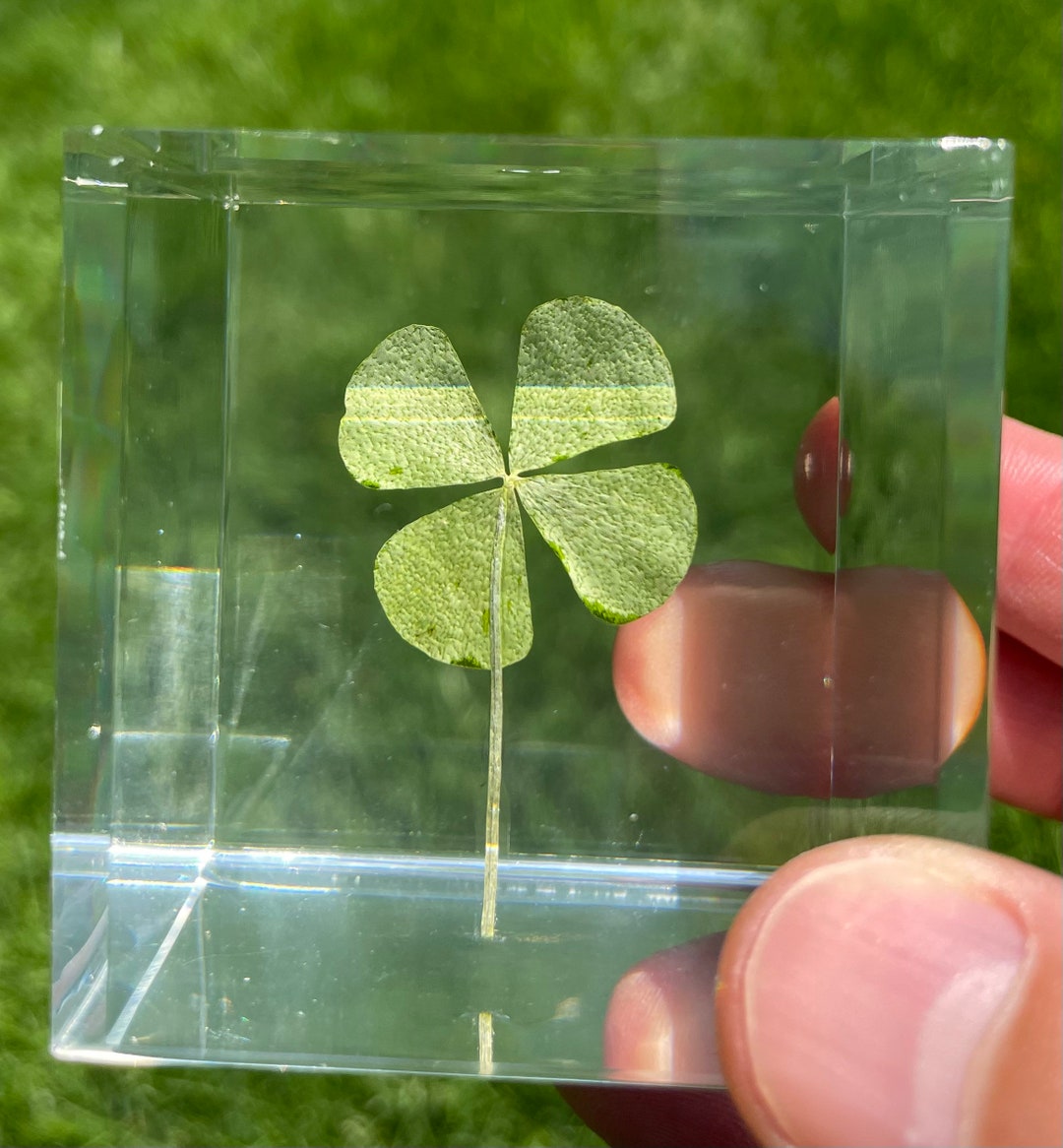 4 Leaf Clover (shamrock) - Made From a Real Four Leaf Clover! 4 Leaf ...