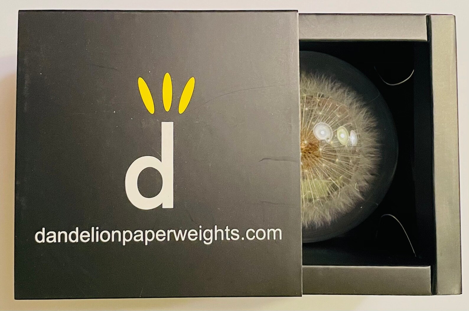 Weed or Flower Paperweights - Made From Real Dandelion Seed Puffs and ...