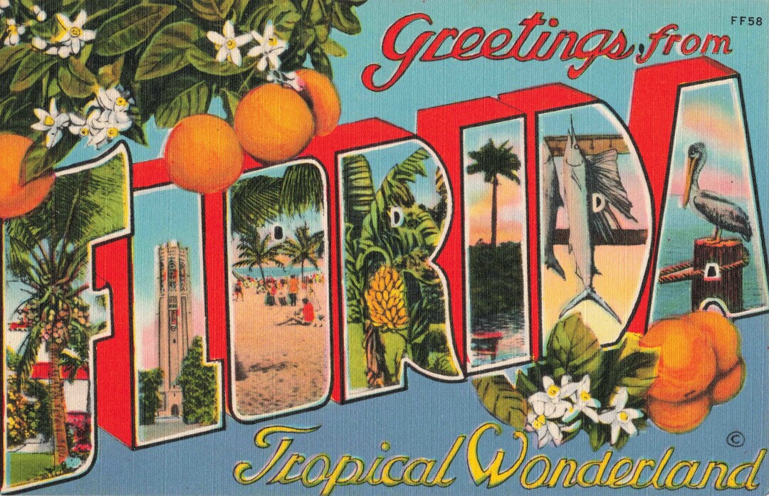 Florida Large Letter Postcard Greetings Tropical Wonderland Multi View ...