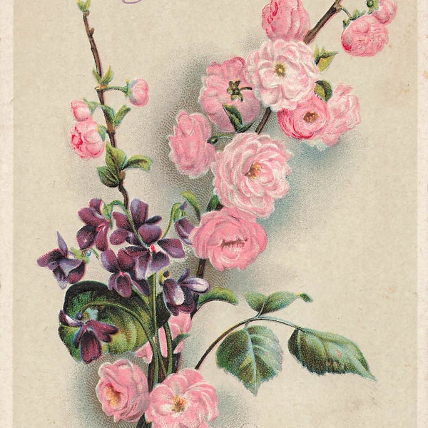 Clapsaddle Postcard - Etsy