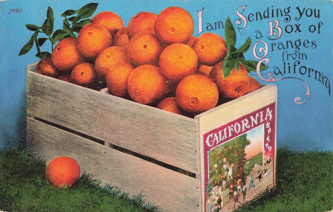 California Postcard Box of Oranges Thinking of You Postmark 1913 - Etsy