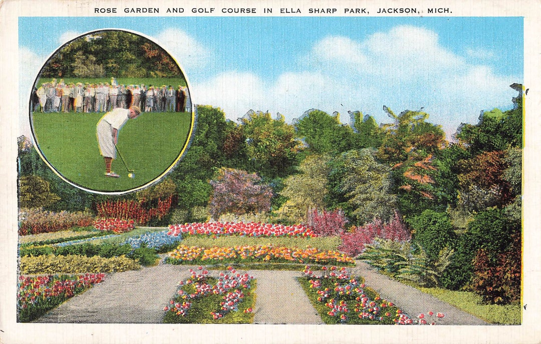 Jackson, Michigan Postcard Rose Garden and Golf Course in Ella Sharp ...