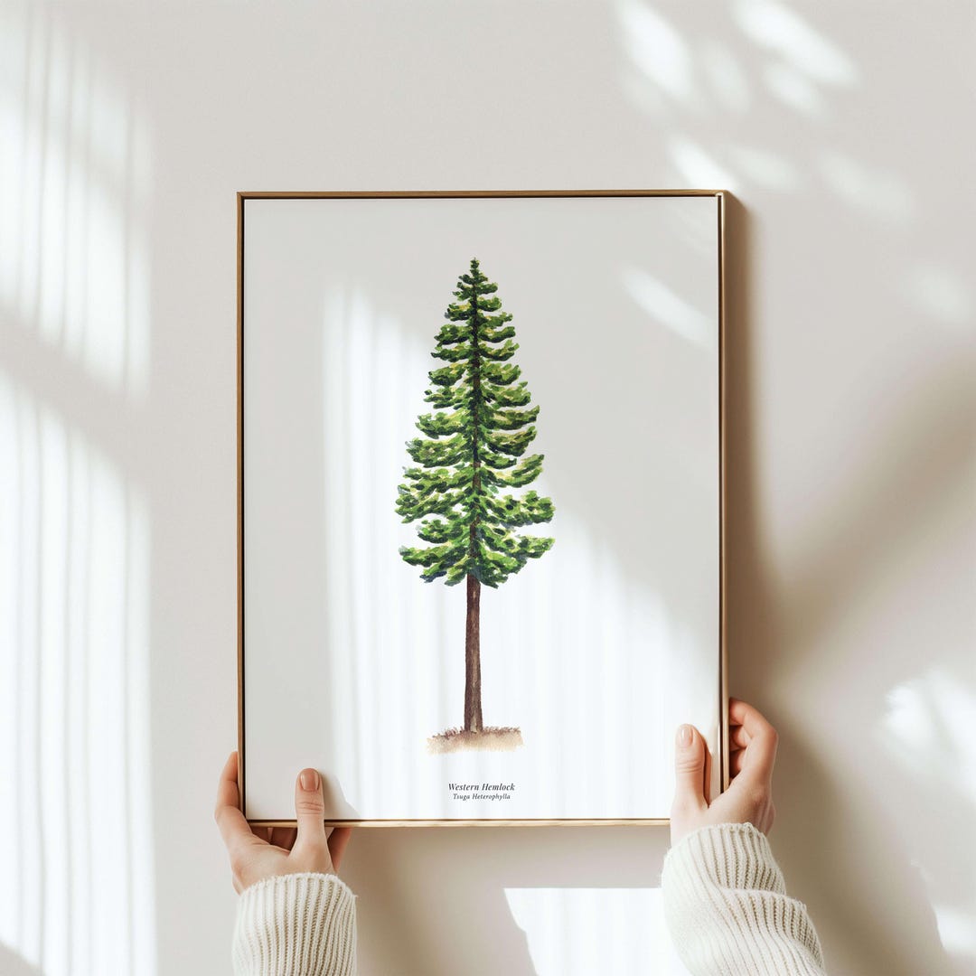 Mountain Modern Home Decor | Evergreen Tree Art Print | Watercolor ...