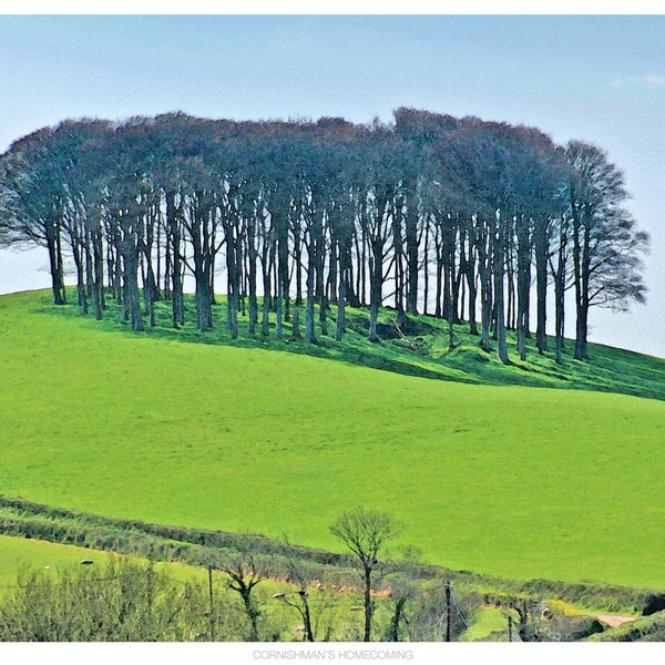 Nearly Home Trees Cornwall - Etsy UK
