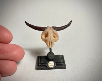 Animal Skull Display Stand - Etsy