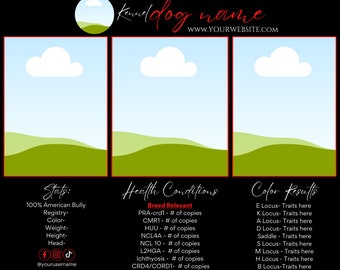 Canva Stud Template - Etsy