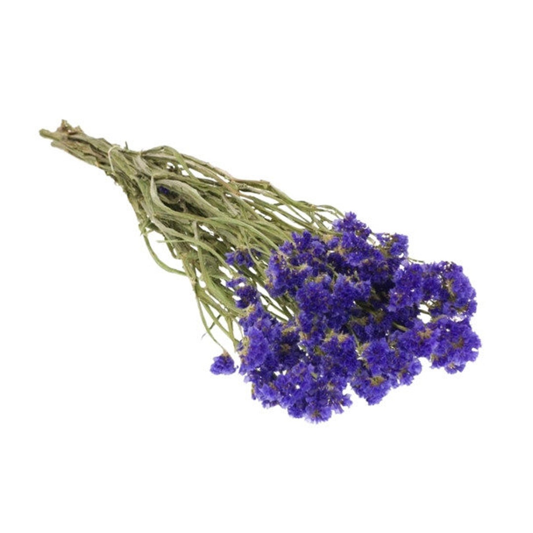 Dried Blue Statice Flowers | Dried Statice Bunch | Natural Dried ...