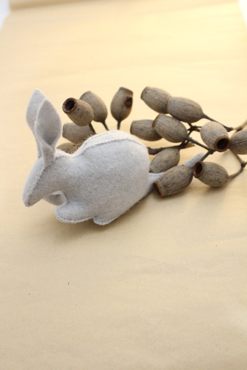 Australian Bilby Craft Pattern and Guide PDF Digital Download | Etsy