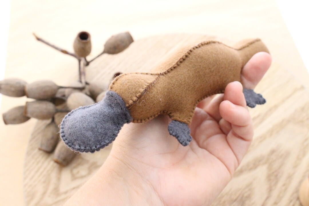 Australian Platypus Craft Pattern and Guide PDF DIGITAL DOWNLOAD ...