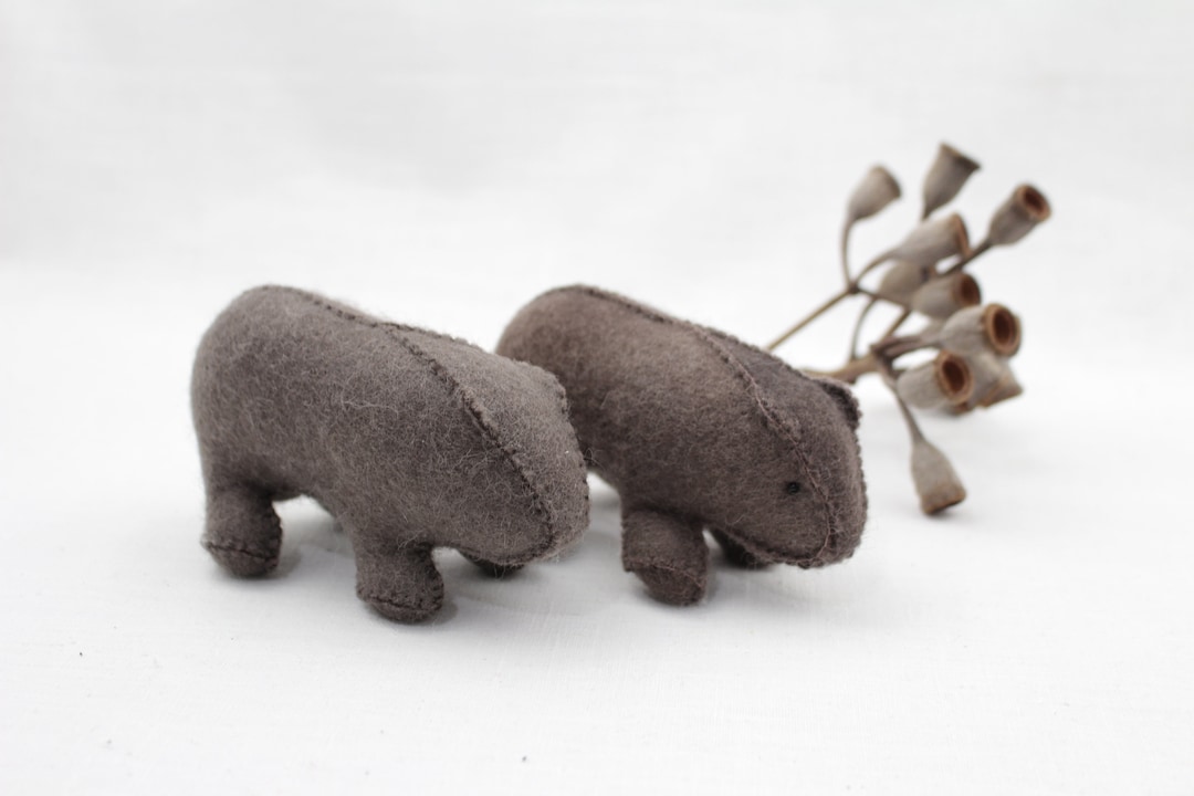 Australian Wombat Craft Pattern and Guide PDF Digital Download ...