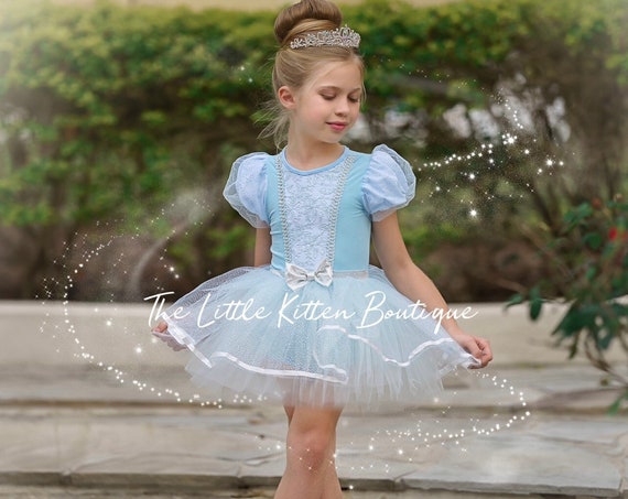 Cinderella Costume, Cinderella tutu dress, leotard, ballet, Cosplay ...