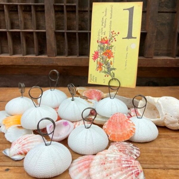 Beach Table Number - Etsy