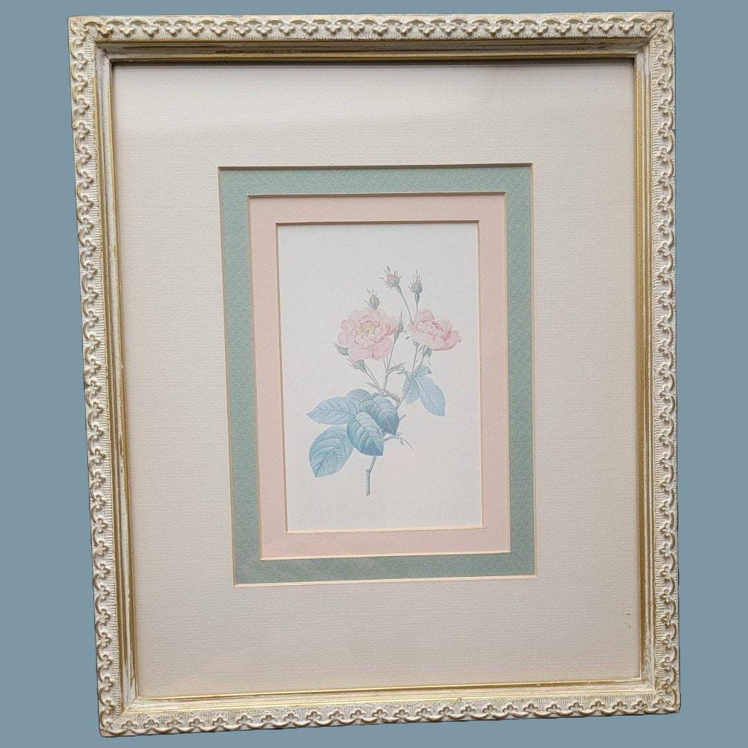 Vintage '90s Shabby Chic PJ Redoute Rosa Centifolia Anemonoides Framed ...