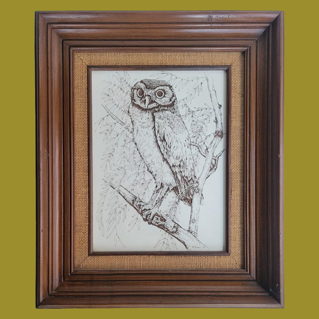 Vintage 1975 Signed Etched Linoleum Owl Drawing in Large Frame - Etsy