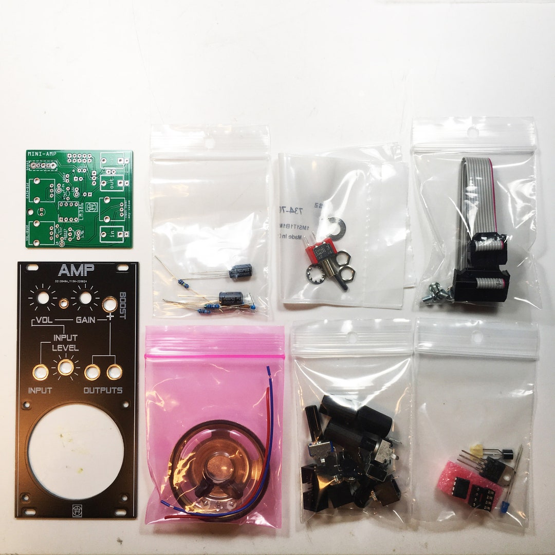 Guitar Amplifier Eurorack Module V2 - Full Kit - Etsy