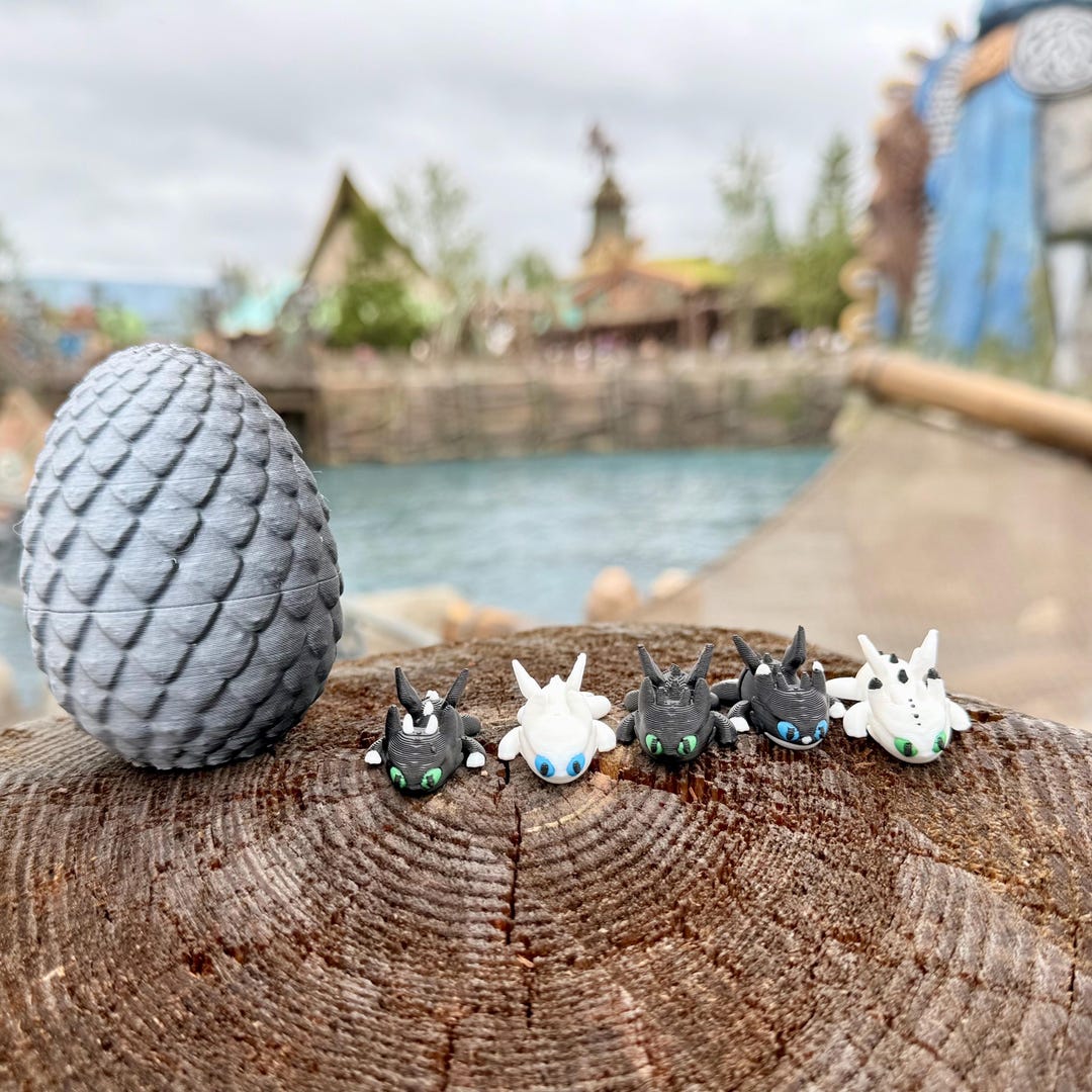 Mini Wiggle Dragon Set – 3D Printed Toothless and Light Fury with Night ...