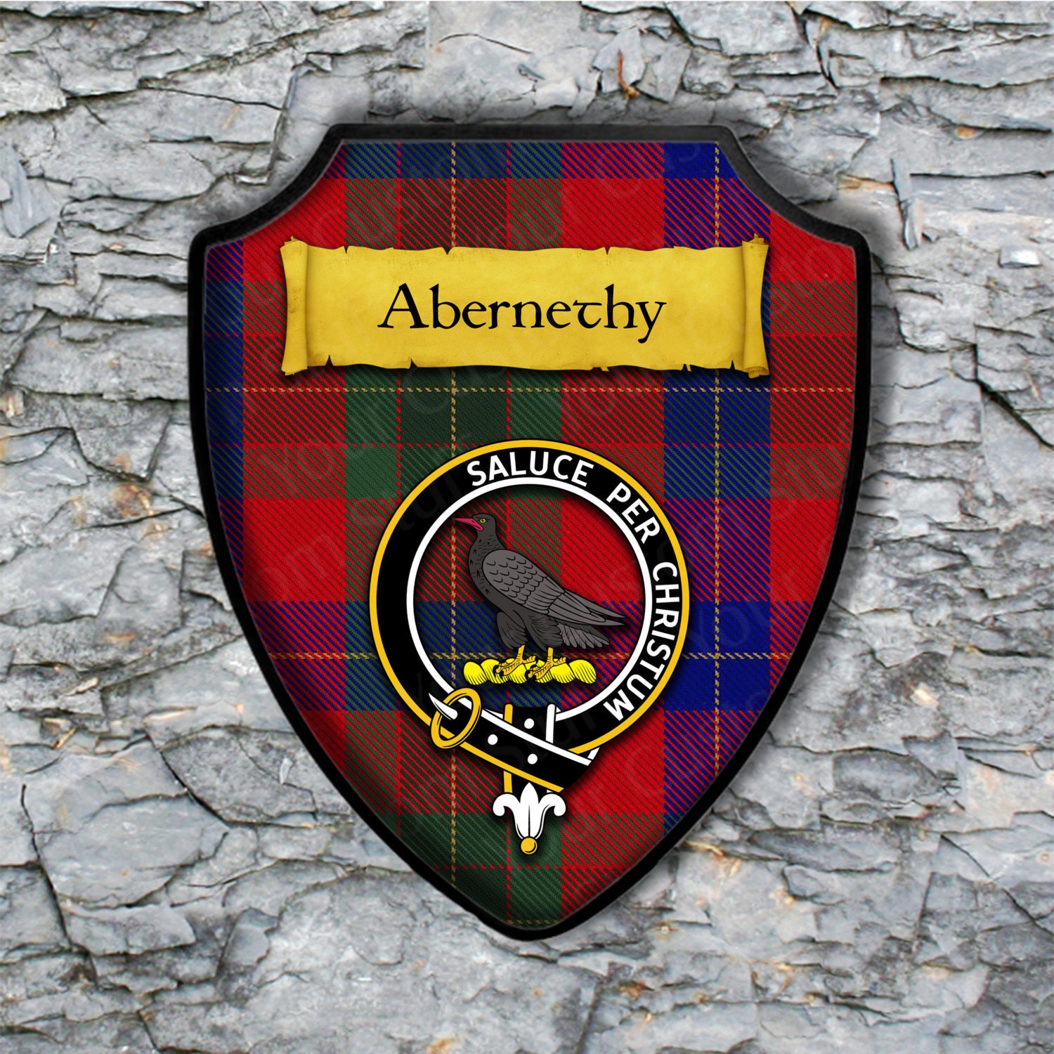 Abernathy or Abernethy Shield Plaque With Scottish Clan Coat | Etsy