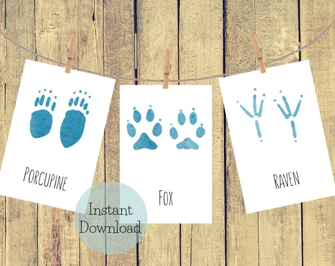North American Animal Tracks Set of 21 Watercolor Printables - Etsy