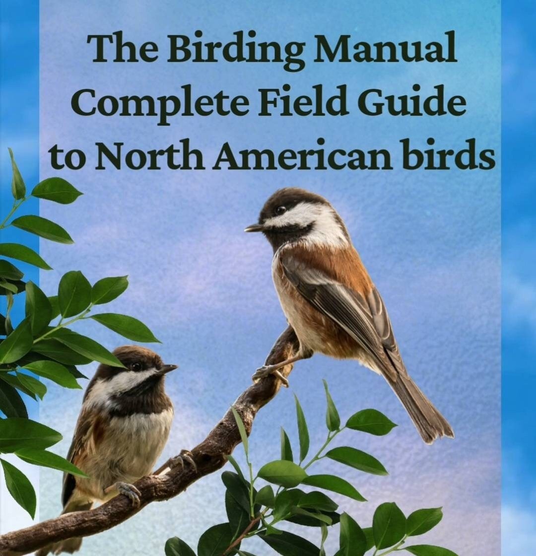 Ebook Birding Manual 767 Page Complete Field Guide to - Etsy