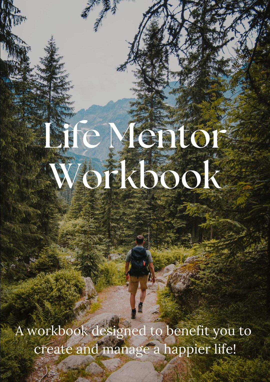 Ebook - Life Mentor Workbook - Self-assessment/goals/thinking/success ...