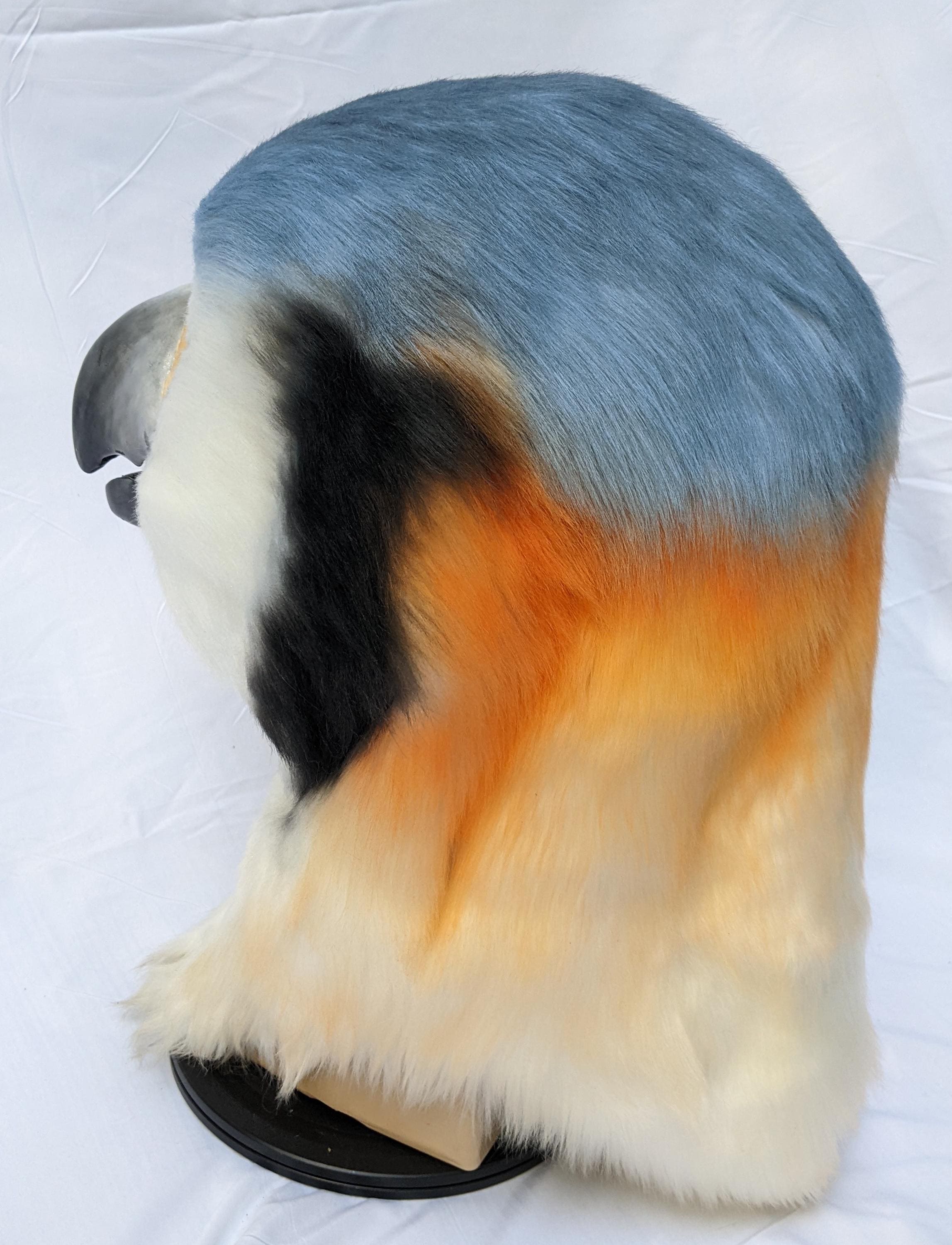 Semi-realistic Kestrel Fursuit - Etsy