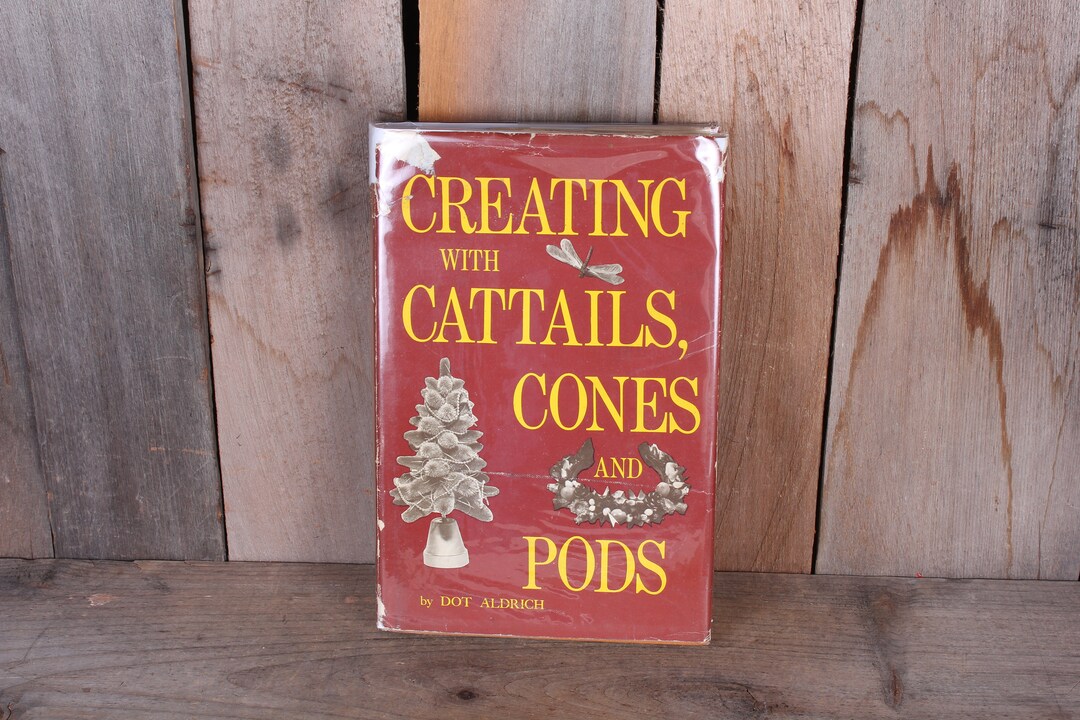 1971 Creating With Cattails Cones and Pods Arts and Crafts Photos and ...
