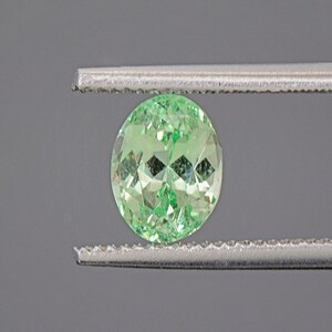 Marvelous Mint Grossular Garnet Gemstone From Tanzania 1.38 Cts - Etsy